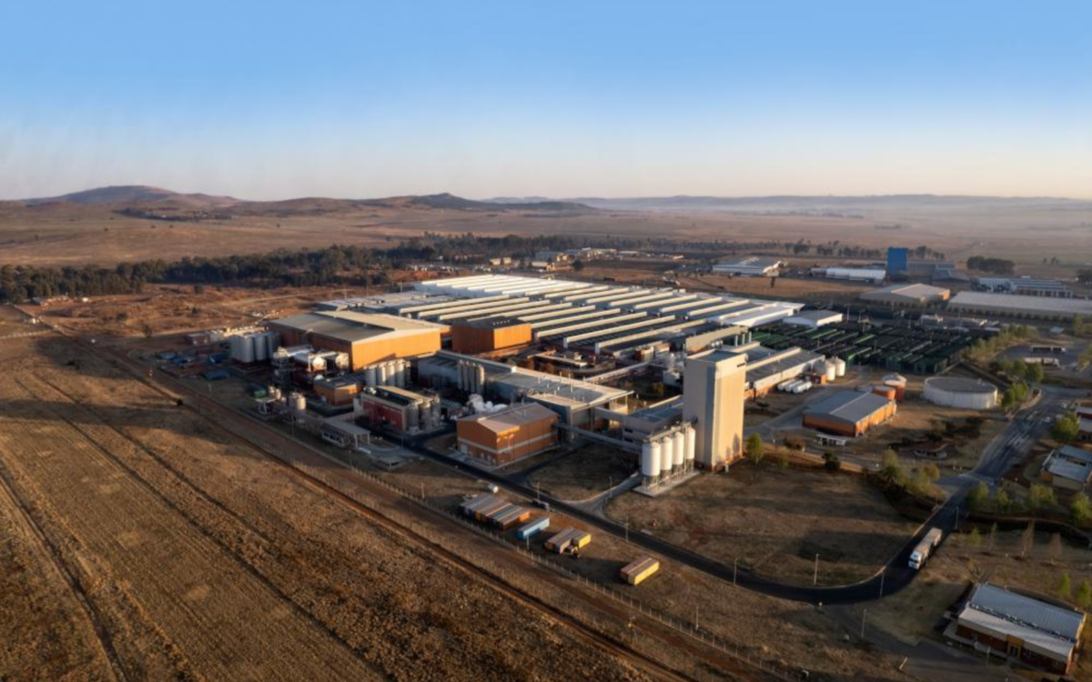 Solar-powered Beer For South Africa - Heineken Launches New Solar Plant ...