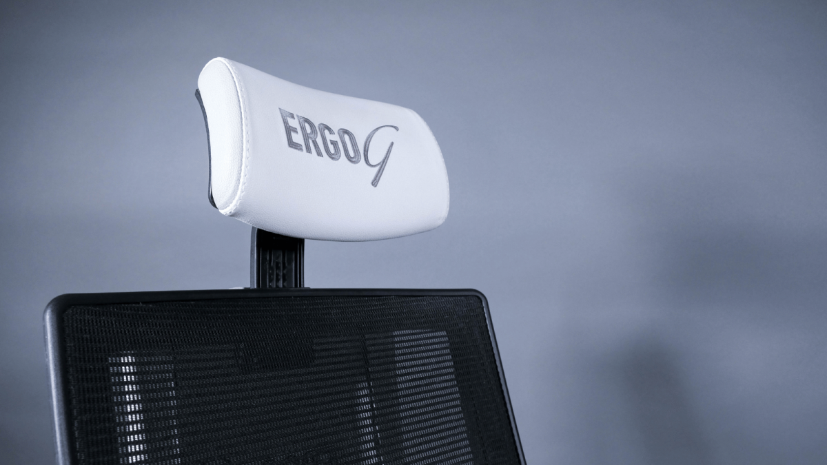 Ergotherapy Ergo G gaming chair review - Your back will thank you, your ...