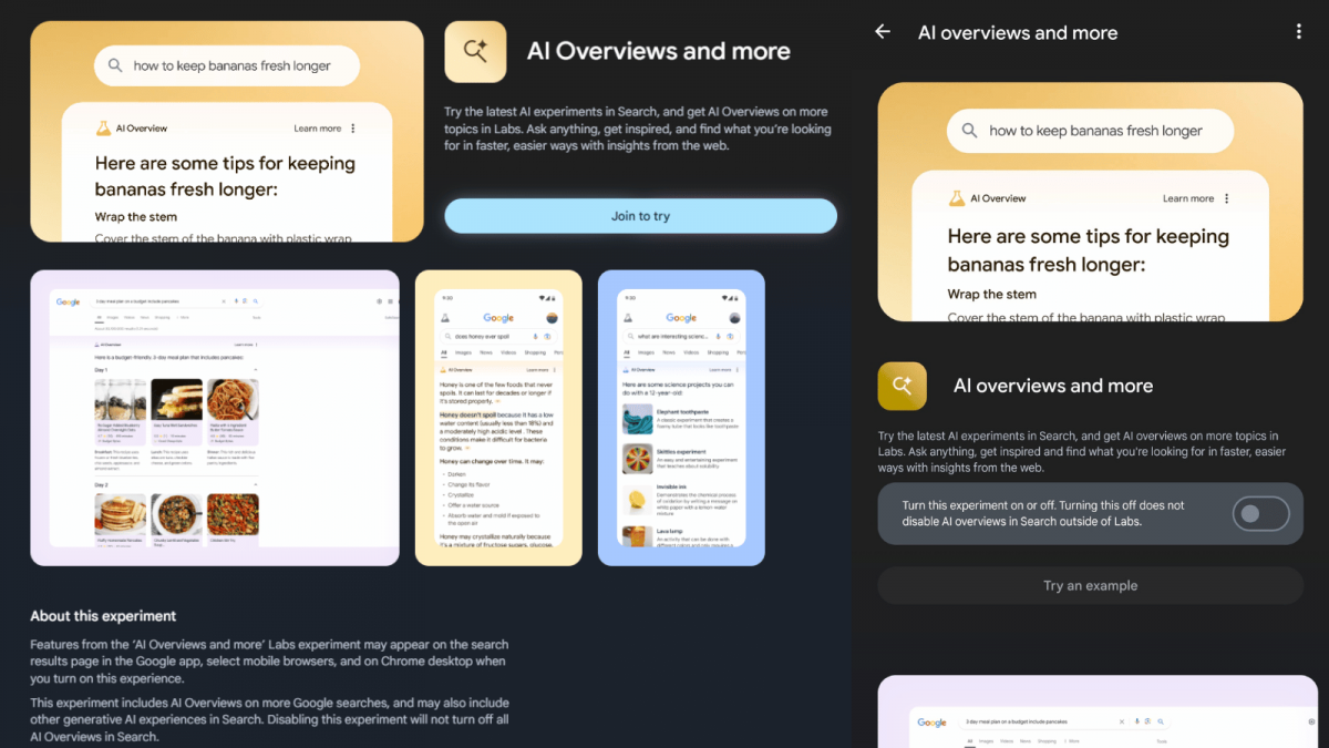 Tired Of Google's AI Search Sucking? Here's How To Disable It - Stuff ...