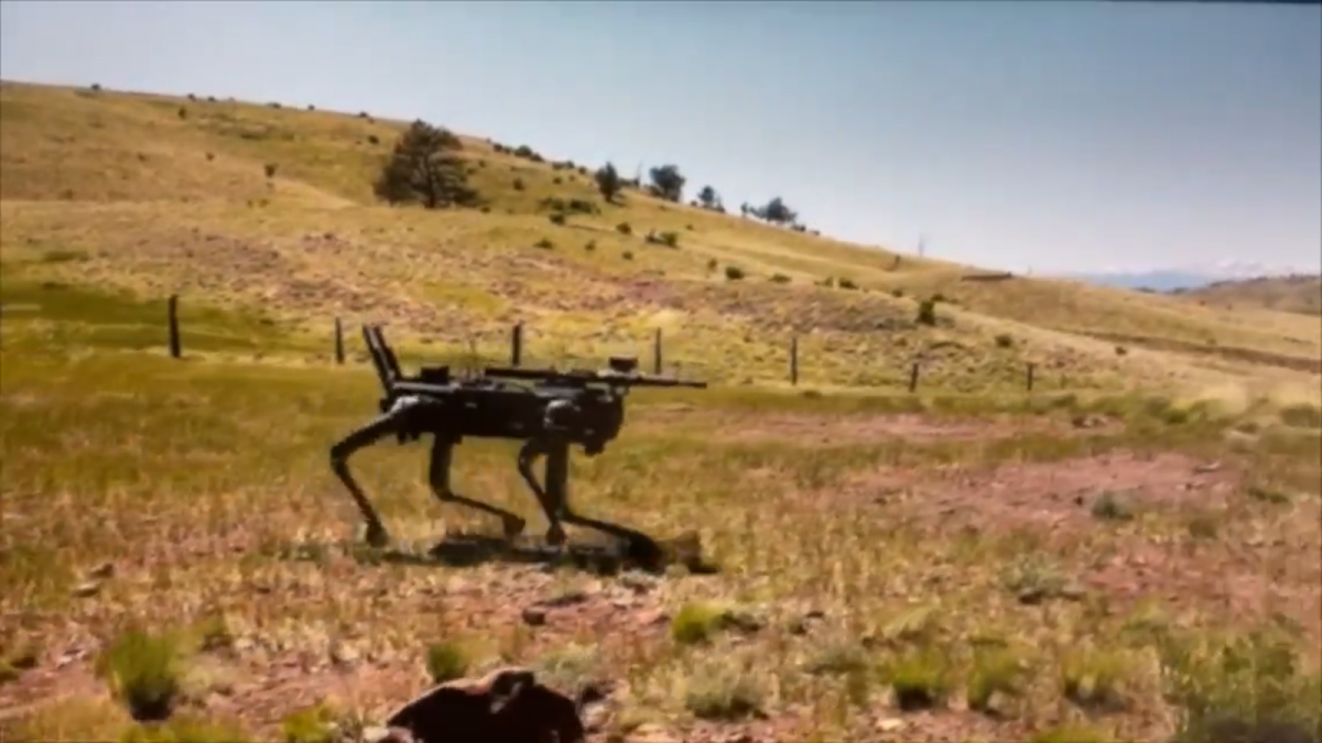 You Know What Goes Well With Heavily-armed Robotic Dogs? Military ...