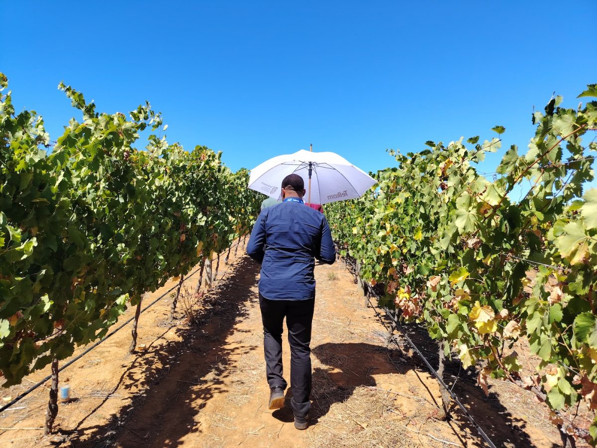 Telkom launches new Smart Agritech initiative with Stellenbosch ...