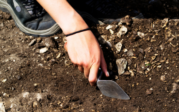 How AI Imagery Could Be Used To Develop Fake Archaeology - Stuff South ...